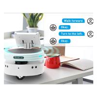 China Gemini-O Programming Mini Rugged Round Obstacle Avoidance SDK Smart RC Education Modular Robot 3-Wheel Drive Omini Chassis for sale