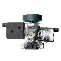 China New Dle200 Cc Gasoline Engine For Paramotor ( Standard Muffler Version) for sale