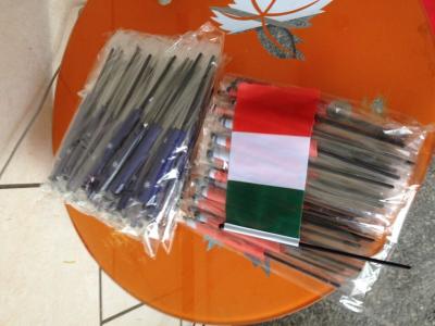China polyester hand flag for sale