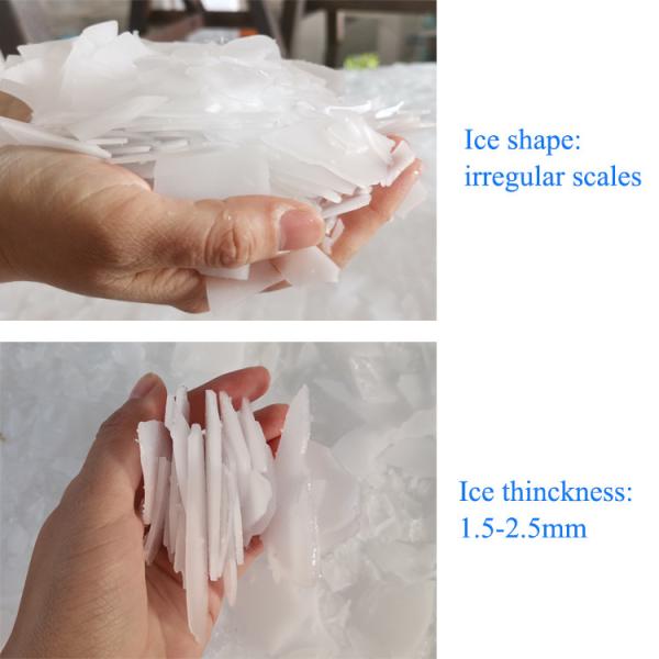 Automatic 20t/H Snowflake Ice Maker Machine For Fresh Seafood Fishery