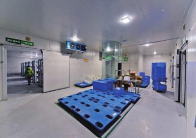China Vegetables Cold Room Freezer Walk In Cold Storage Units For Keep Fresh Fruits Fish Transportation for sale