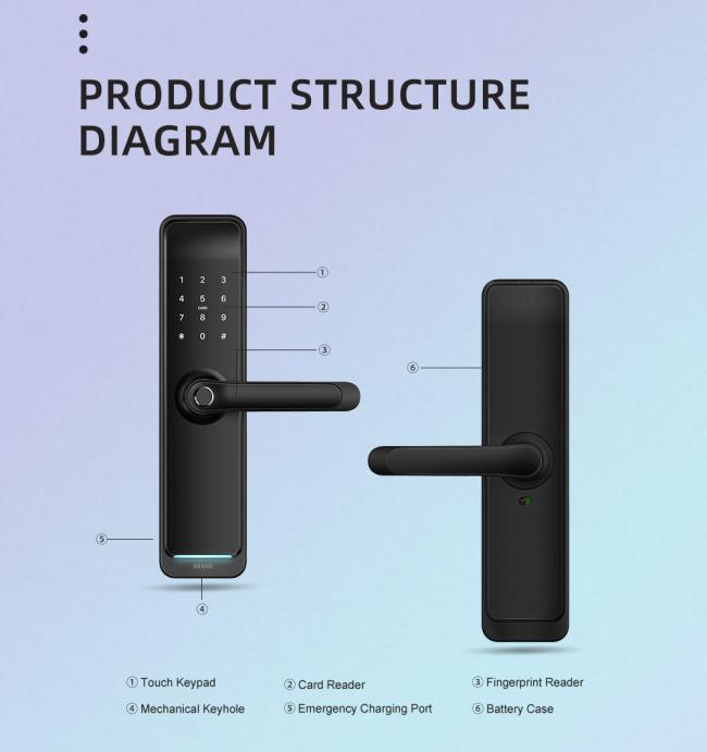 Tuya WiFi App Smart Door Lock inteligente lock fingerprint door Lock