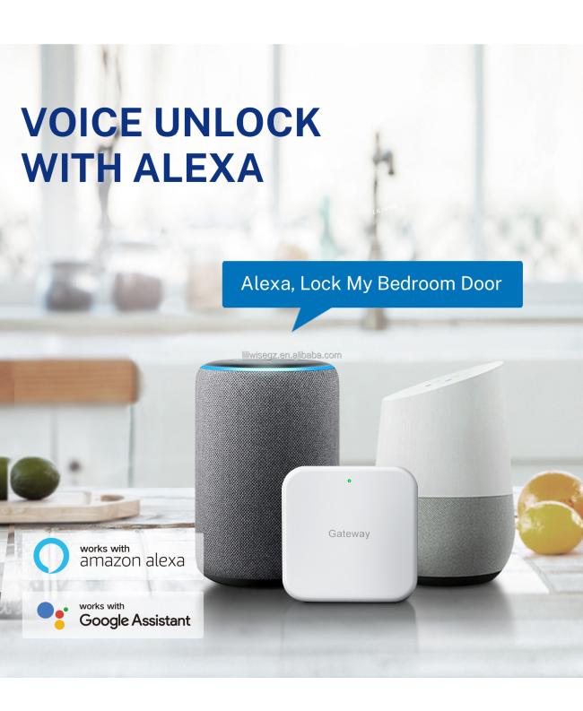 Smart Lock Package Contents