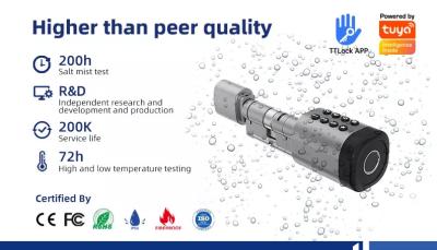 Cina Cilindro astuto regolabile della serratura di porta di WiFi BLE Digital con la chiave meccanica in vendita
