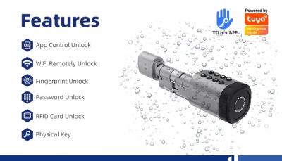 Cina Cilindro astuto regolabile della serratura di porta di WiFi BLE Digital con la chiave meccanica in vendita