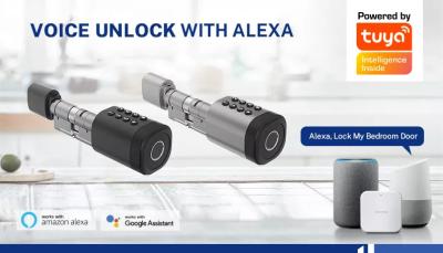 Cina Cilindro astuto regolabile della serratura di porta di WiFi BLE Digital con la chiave meccanica in vendita