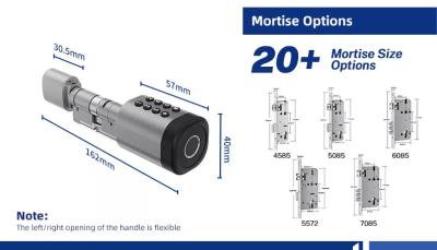 Cina Cilindro astuto regolabile della serratura di porta di WiFi BLE Digital con la chiave meccanica in vendita