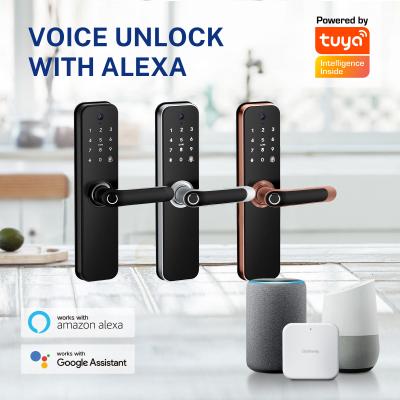 China Tuya APP Bluetooth Lock Smart Home Video Doorbell Door Lock for sale