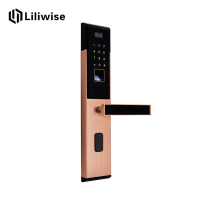 China Stainless Smart Code Door Lock High Security Intelligent Simple For Apartment for sale