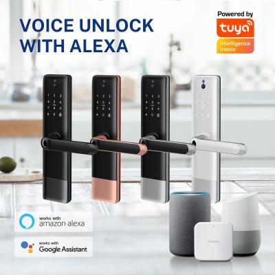 China Tuya Smart Door Lock with Camera WiFi Bluetooth Fingerprint Access for sale