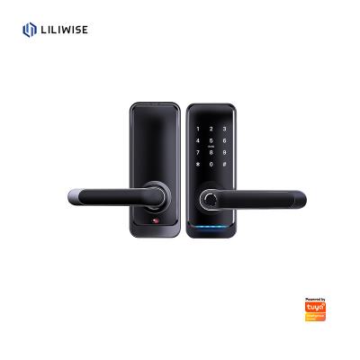 China Smart Door Lock with Biometric Fingerprint 200 Capacity MF1 Card Support for 35-75mm Doors for sale