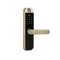 China Zinc Alloy Smart Electronic Door Lock with 4 Unlock Methods - 300 User Capacity & 6V Battery Operation for sale