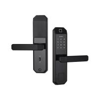 China H01 Semiconductor Sensor Fingerprint Door Lock with 4 Unlock Methods and 300 Data Capacity - Zinc Alloy Construction for sale