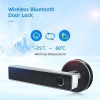 China WiFi Bluetooth Fingerprint Electronic Door Handle Lever Lock Zinc Alloy 6V for sale