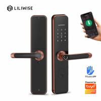 China High Security Smart Digital Keyless Lock with 6 Unlock Methods and 360mm × 72mm Aluminum Alloy Construction for sale
