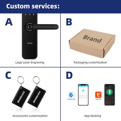 China OEM Remote Control Smart Lock Home Security Fingerprint Biometric Door Lock for sale
