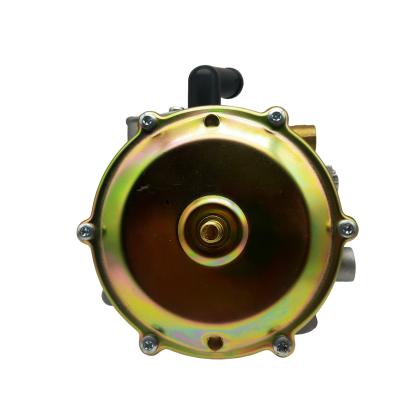 China De Drukreductiemiddel van ln-AT04B CNG voor Regelgever van de Hoge druk de Zwarte Elektromagnetische Klep Te koop