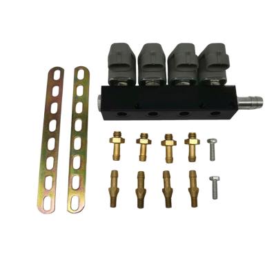 Cina Grey Injector Rail LN-LIG1S per 167HZ 2 il sistema sequenziale di ohm GPL CNG fatto in Cina in vendita