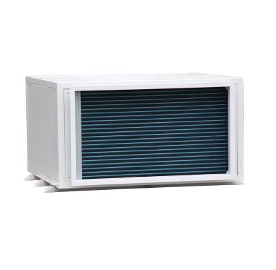 China 480L/D Factory Price Commercial Dehumidifier Ceiling Air Dryer Dehumidifier Moisture Absorber Cooling Wall Dehumidifier for sale