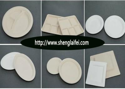 China 3-compartment biodegradable frozen delivery food packaging container for sale