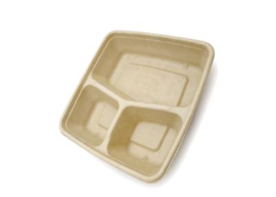 China Disposable lunch box clamshell packaging Biodegradable food container for sale