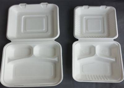 China Disposable lunch box clamshell packaging Biodegradable food container for sale