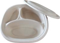 China Biodegradable Compostable Tableware Set 26x20cm Food Trays Bowls Cornstarch PLA Sugarcane Bagasse for sale