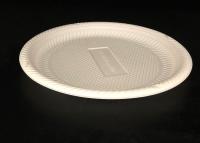 China Wheat Straw Pulp Biodegradable Disposable Fast Food Packaging Box 26x20x3.5 cm for sale