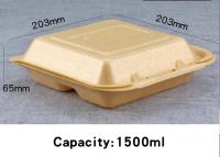 China Biodegradable 3 Compartment Clamshell Food Container 8 Inch 26x20x3.5 cm for sale