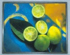 Cina M170EG01 VG 17 \ “\„ pannello di LCD di AUO in vendita