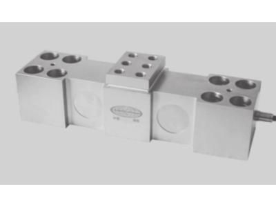 China Bei der Prüfung der Verwendung von Zellen für die Beförderung von Doppelstrahllast/LZQ10H/Legierstahl/50t/100t/150t/200t zu verkaufen