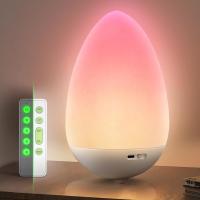 China Remote Control Dimmable Portable Table Lamp with 2700K Warm White LED Mood Lighting for sale
