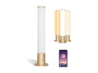 Quality APP Control Smart Sad Lamp 10000 Lux Light Therapy Lamp with 2700K - 6500K for sale