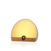 Quality 10000 LUX Wake Up Light Therapy Lamp CE Approved Light Alarm Clocks 24W for sale