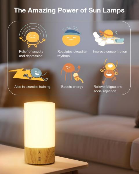 Quality Customizable 10000 Lux Dimmable Light Therapy Lamp With Timer Function For for sale