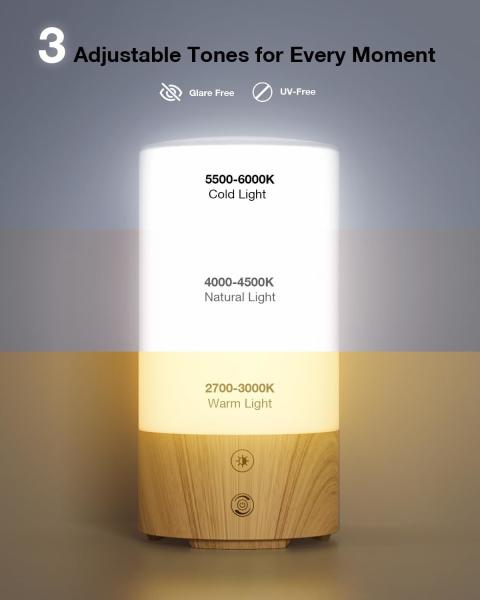 Quality Customizable 10000 Lux Dimmable Light Therapy Lamp With Timer Function For for sale