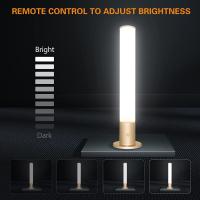 China Remote Control Daylight Simulation Lamp 10000LUX Happy Mood Light with 3 Color Temperatures for sale