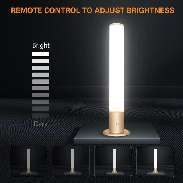 Quality Remote Control Daylight Simulation Lamp 10000LUX Happy Mood Light with 3 Color for sale