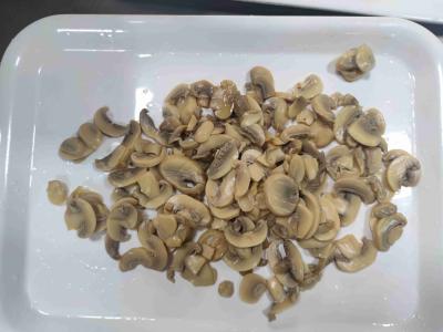China Gestoomde champignon champignon champignon op koele en droge plaats voor ingeblikte groenten Te koop