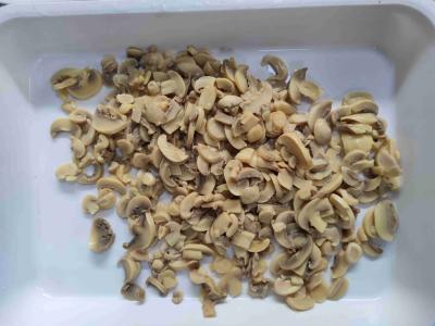 China Gestoomde Champignon in Blik - Veelzijdige Ingrediënt voor Elk Gerecht Te koop