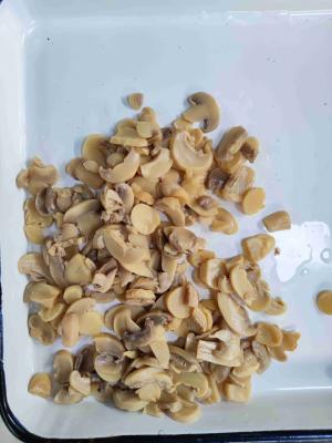 Chine Le champignon en boîte de champignon de paris de la valeur du pH 4.5-6.5 a adapté 400g aux besoins du client à vendre