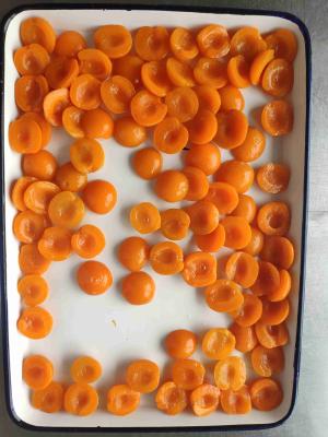 China 0g Saturated Fat Canned Apricot Sections With Citric Acid for sale