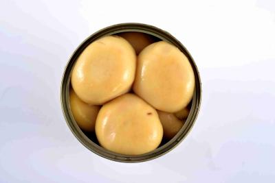 Chine Type en boîte entier sain matière première naturelle d'agaricus bisporus de champignons à vendre