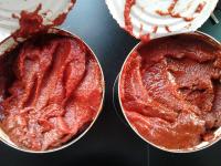 China Canned Tomato Paste Steamed Processing 2 Year Shelf Life No Additives BRC HACCP HALAL for sale
