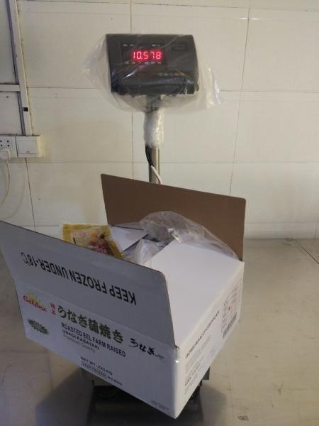 日本おいしいKabayakiによって凍らせている味をつけられた焼かれたUnagiウナギ