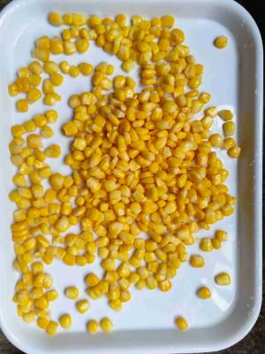 China Klaar om te eten ingeblikt superzoet hele kern zoete maïs Te koop