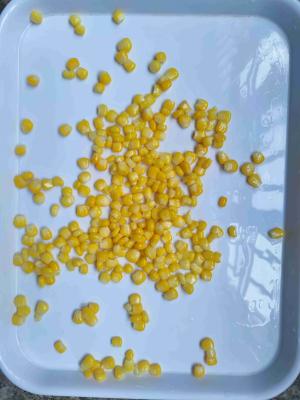 China Syrup 7.5 9.0 Canned Sweet Corn Primary Packaging Metel Tin Part Whole Kernel Te koop
