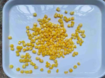 China 340g Fresh Canned Sweet Kernel Corn China Whole Kernel Sweet Corn factory