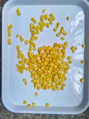 China Natural Color Sweet Corn in Can with Easy Open Lid for sale