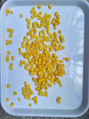 China Stil je trek met het gemak en de heerlijkheid van ingeblikte zoete maïs Te koop